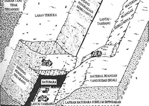Tipe Endapan Dan Kondisi Geologi Batubara ~ F Y O F A ~ T E C H