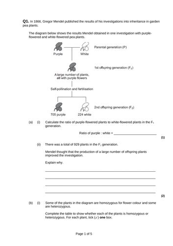 Aqa Gcse Biology Lesson 11 Mendel Biology Only Inheritance Variation And Evolution Topic