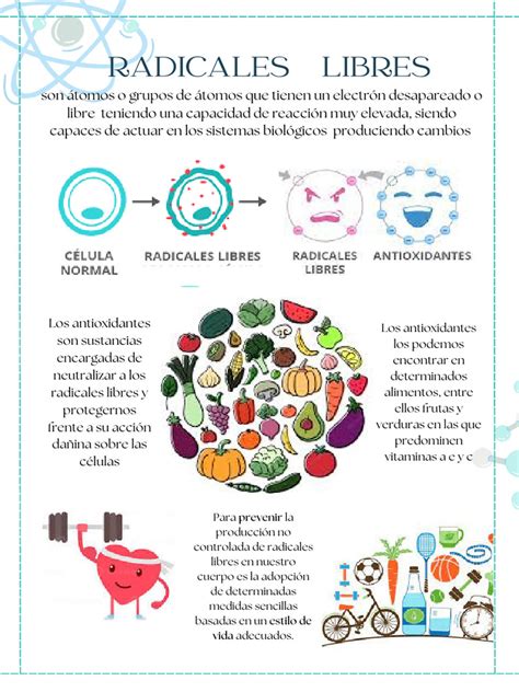 Radicales Libres Y Antioxidantes Guía Esencial Pdf