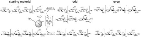 Controlled Photochemical Depolymerization Of K5 Heparosan A Bioengineered Heparin Precursor Pmc
