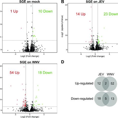 Functional Clustering And Network Analysis Of Proteins Modulated During