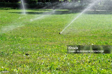 잔디 아래에 설치된 다양한 스프링클러가 있는 클로즈업 자동 정원 급수 시스템 잔디밭 언덕과 과일 정원이 있는 조경 디자인은 일몰