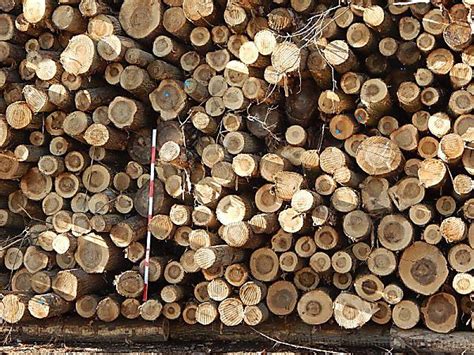 Започва прием на заявления за помощи за отопление Arena Media