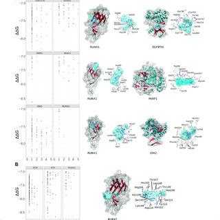 Drug Associated Targets And Drug Modeled Binding With RUNX1 A Dot Download Scientific
