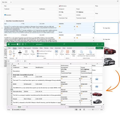 Xlsxexportoptionsexallowcellimages Property Cross Platform Class