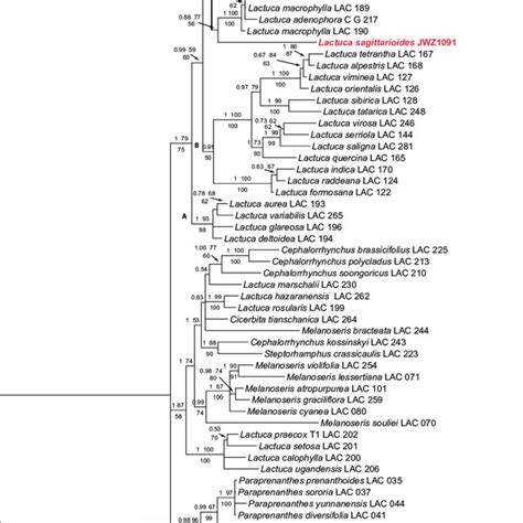Insdc International Nucleotide Sequence Database Collaboration Download Scientific Diagram