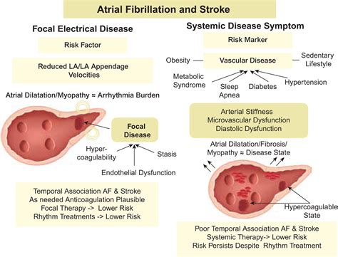 AF And Risk Factors