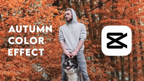 Autumn Color Effect Capcut Tutorial Youtube Fall Colors Color Effect Tutorial