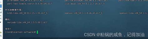 Linux服务器下的项目部署（详细）linux服务器部署项目 Csdn博客