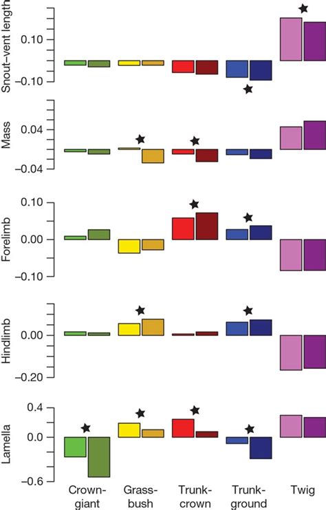 Sexual Dimorphism And Adaptive Radiation In Anolis Lizards Nature