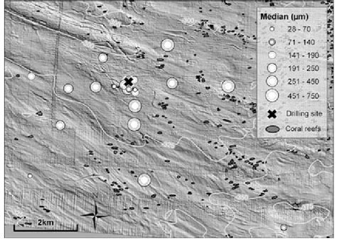 Geographic Distribution Of Median Grain Size Lm Of Surface Samples In Download Scientific
