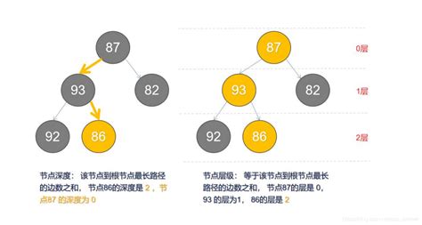 c c 程序员必须会的《二叉树》 cpp二叉树 csdn博客
