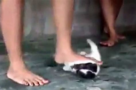 Search Is On For 3 Girls In Viral Puppy Video Abs Cbn News