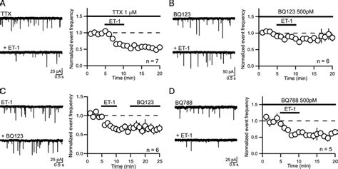 Et 1 Depresses Mepsc Frequency Onto Vp Neurons Via Et A Receptors A D