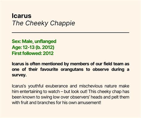 Borneo Nature Foundation International Penryn