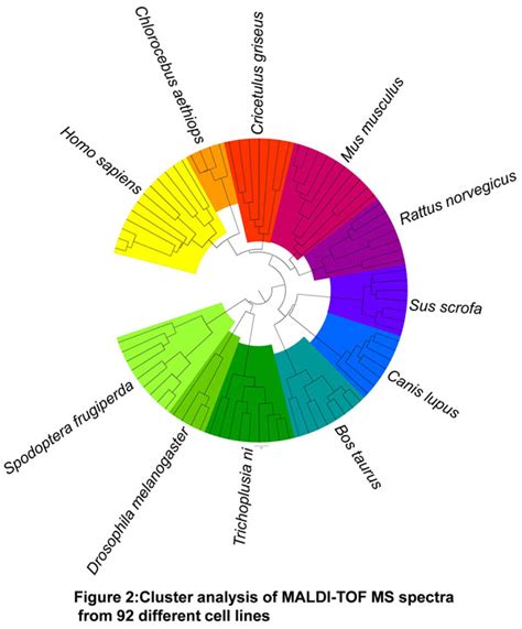 Cluster Analysis Of Maldi Tof Ms Spectra From 92 Different Cell Lines