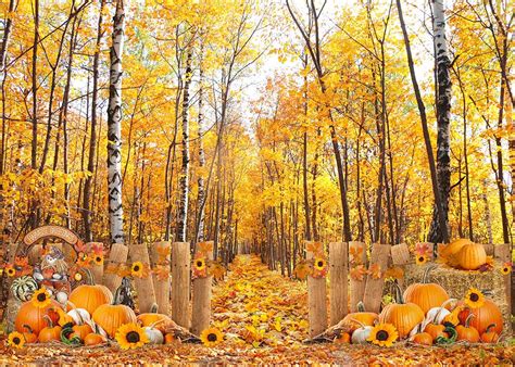 Avezano Autumn Woods Photography Backdrop