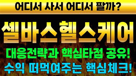 주식 셀바스헬스케어 주가전망과 대응전략 반드시 확인하세요 세력 목표가까지는 흔들리지 않아야 합니다 Youtube