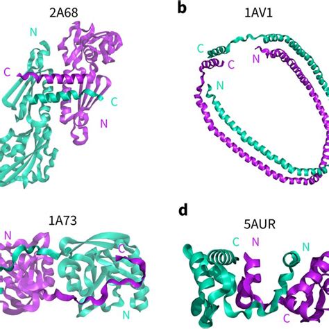 Experimental Structures Of Protein‒protein Complexes In Which The Download Scientific Diagram