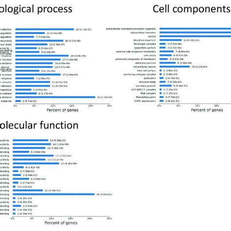 Biological Processes Cell Components And Molecular Functions In