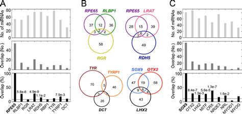 Bioinformatic Prediction Of Regulatory Mirnas A Prediction Of