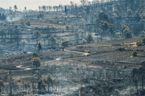France Fires Scorch Area Larger Than Paris As Unprecedented Blaze