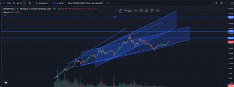 트럼프 정리 분석했던 차트 일부 공개 자유게시판 코인판