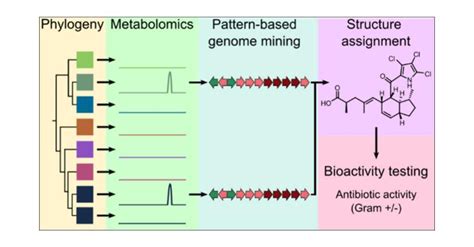 douglas sweeney on linkedin pattern based genome mining guides