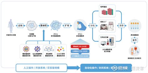 呈诺医学：ipsc衍生内皮祖细胞注射液完成临床一期全部脑卒中患者给药，开启心脑血管疾病治疗新篇章 2024年4月23日 医麦客新闻 Emedclub News 2024年4月15日，呈诺医学