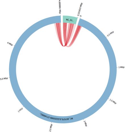 BLAST Biotechnology Wikipedia