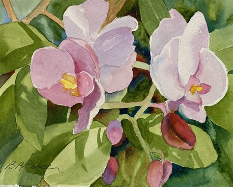 Watercolor Just For Fun August 1 8 22 And 29 With Barbara Pecce