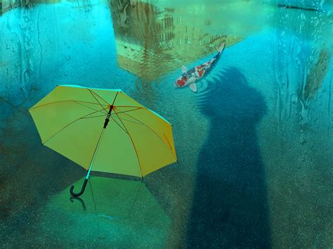 Spring Puddles Reflection In Water On Behance