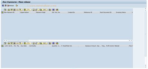 FTREX SAP Tcode Mass Release For Raw Exposures Transaction Code