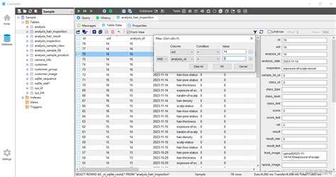 开源项目cutesqlite开发笔记（七）：cutesqlite释放beta版本啦 csdn博客