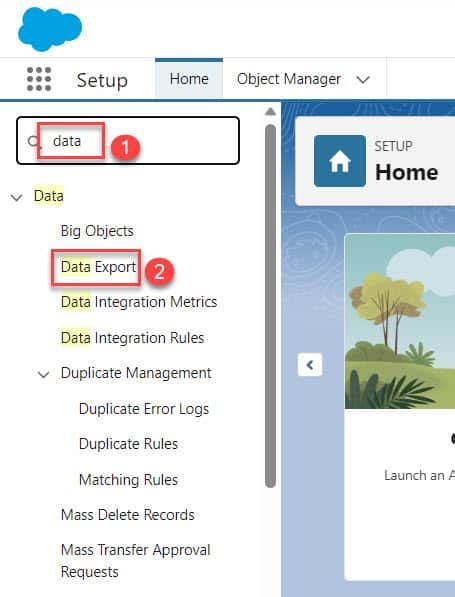 How To Export Leads In Salesforce