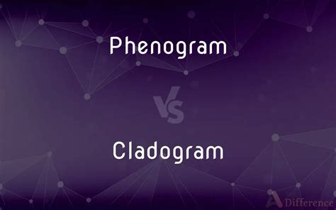 Phenogram Vs Cladogram — Whats The Difference