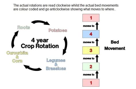 Crop Rotation Archives Gardening Blog At Seed Parade Growing Advice