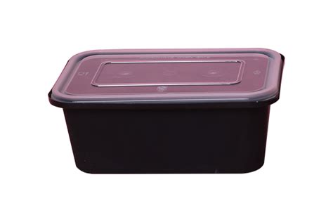 Rectangle Clasp Container Factory Direct Supplier Of High Quality Storage Solutions