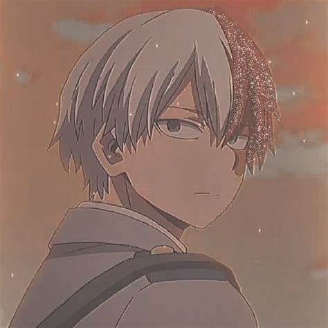 Todoroki Pfp