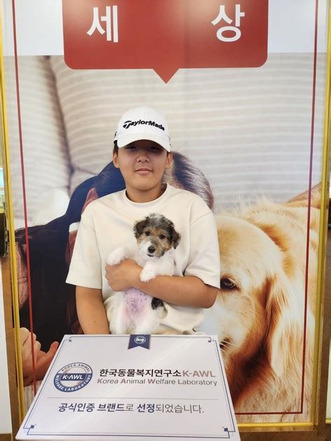 폭스테리어 폭시 스피츠성격 시바견성격 시베리안허스키성격 시츄성격 요크셔테리어성격 웰시코기성격 이탈리아그레이하운드성격 치와와성격 코카스파니엘성격 폼스키성격 폼치성격 폼피츠성격