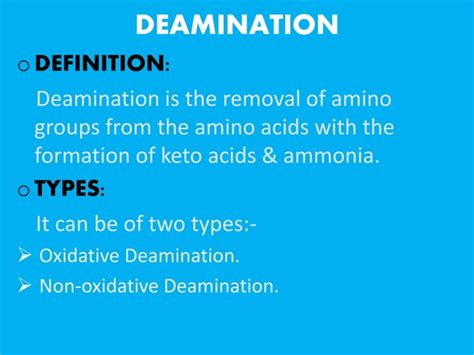 Protein Metabolism Catabolism Pptx