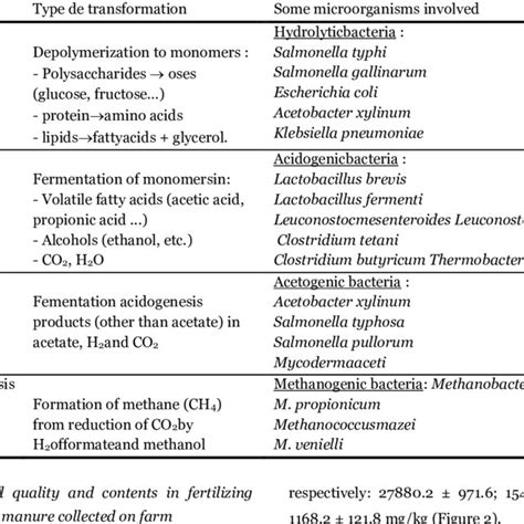 Synthesis Of The Methanogenesis Process Mozambe 2002 Download Scientific Diagram