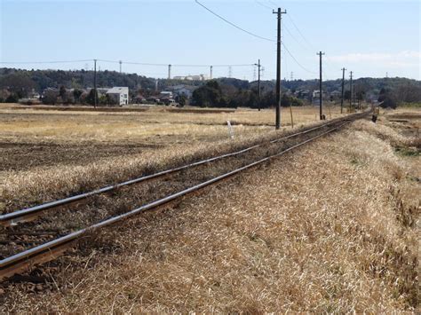 新・姉崎機関区 2025年02月23日11時41分のつぶやき