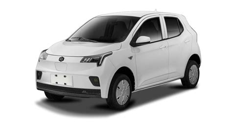 Micro EVMini EVMicro CarLow Speed EVEV