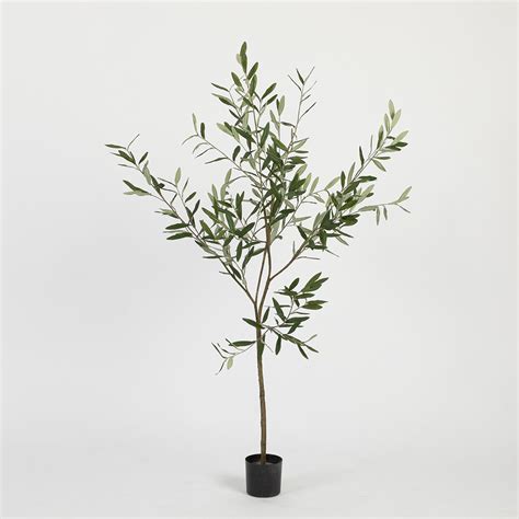 Artificial Fruitless Olive Tree Pillow Talk