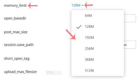 How To Increase Or Decrease Php Memory Limit Via Cloudlinux Selector In Directadmin Host4geeks Llc