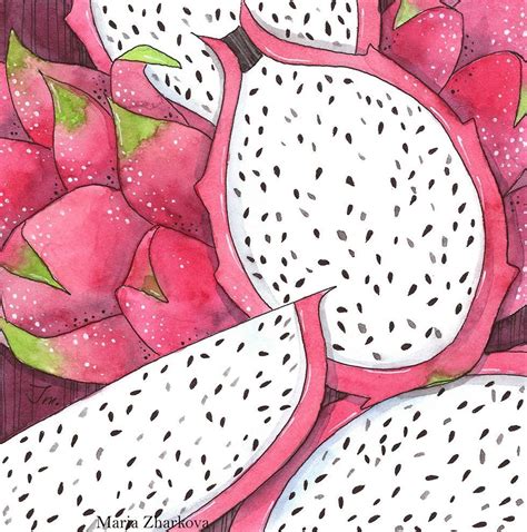 Фрукты картинки красивые рисунки 36 фото Рисунки для срисовки и не только