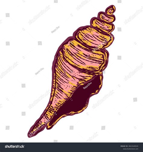 Shell Stylized Technique Marine World Shell Stock Vector Royalty Free Shell Stylized Technique Marine World Shell Stock Vector Royalty Free
