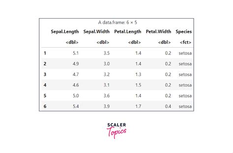 Deep Learning In R Programming Scaler Topics