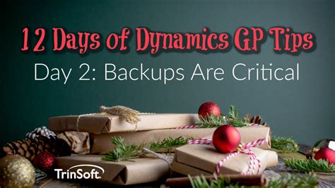 12 Days Of Dynamics Gp Tips Day 2 Backups Are Critical Trinsoft